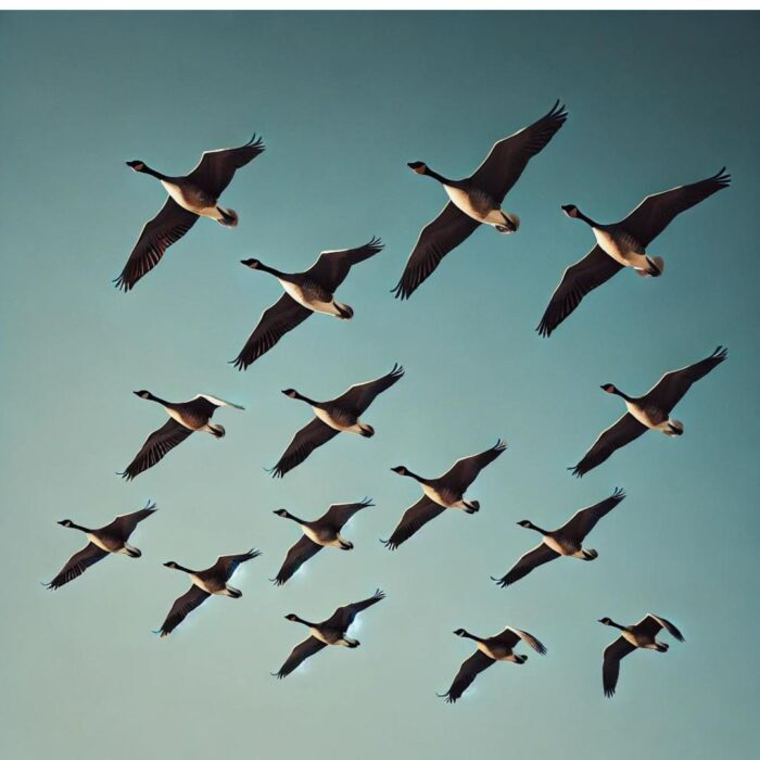 Goose Spirit Animal Meaning & Symbolism